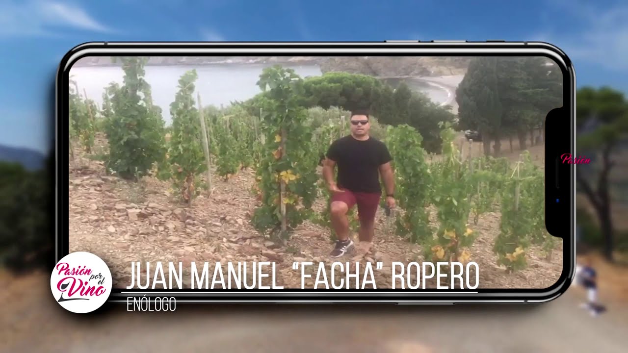 Juan Manuel "Facha" Ropero - PASION POR EL VINO (Programa 25, Bloque 2 ...