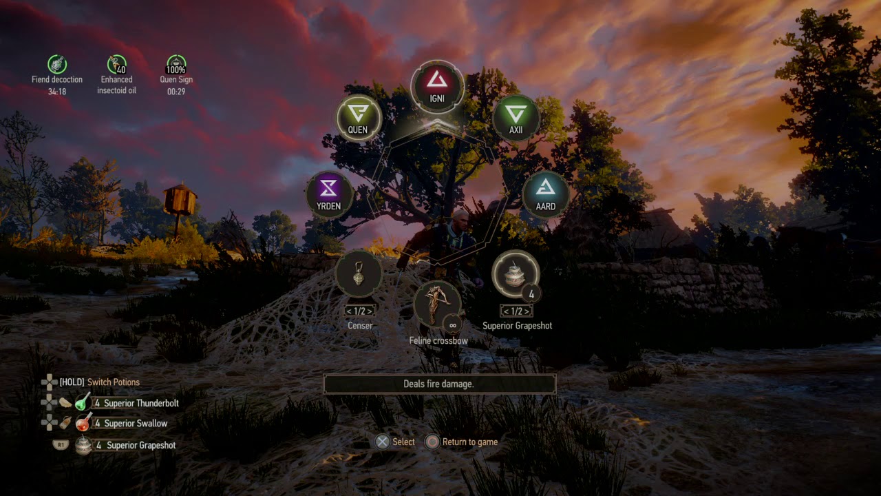 The Witcher 3: Wild Hunt - Geralt vs Arachnomorph - YouTube