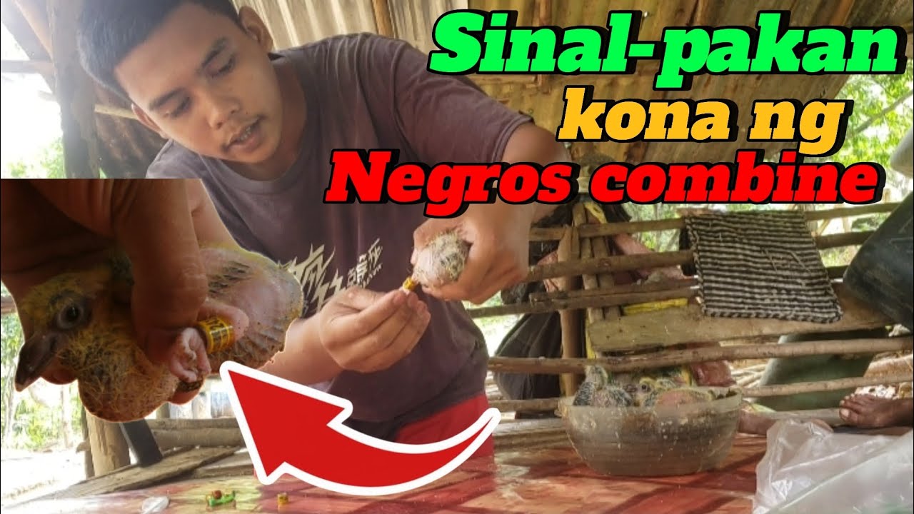 Sinal-pakan kona ng ring mga yb ko @JULIUSAPELOFT #youtube - YouTube