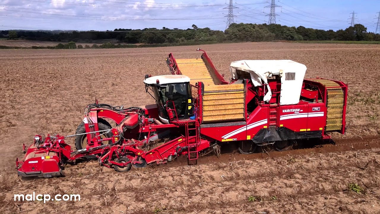 Harvest 2022: Harvesting potatoes in the Suffolk sunshine with a Grimme ...