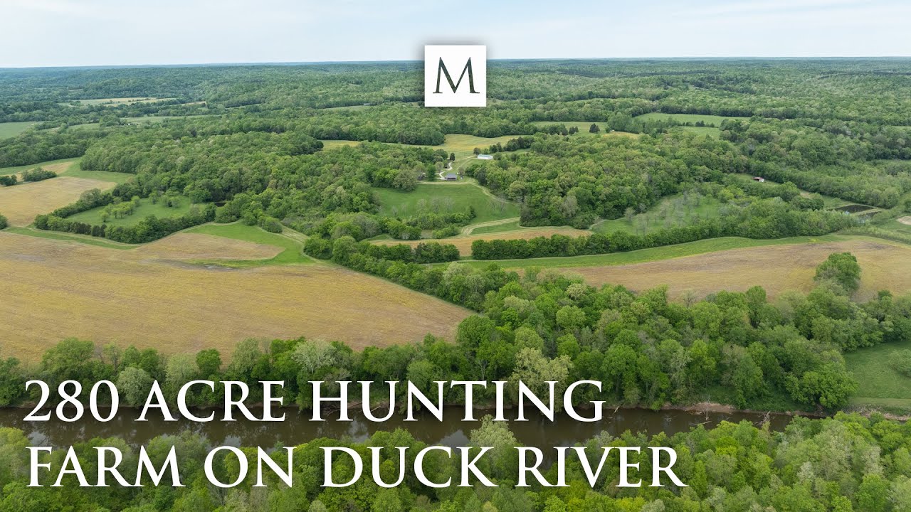 Some of the best land on Duck River | 280 acres of mature mature ...