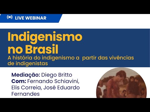 Indigenismo no Brasil - A história do indigenismo a partir das ...