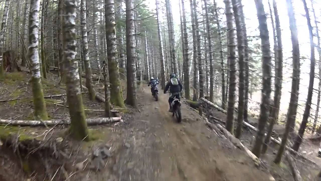 Hogsback Fun - YouTube