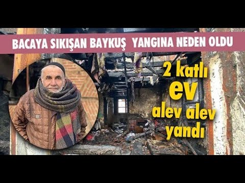 Bacaya Giren Baykuş, Evi Küle Çevirdi