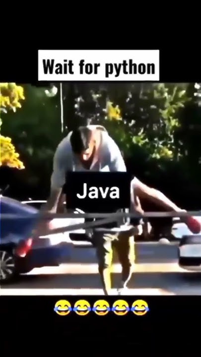 Python Programming Shorts Codememes Python Coding Funnyshorts Youtube