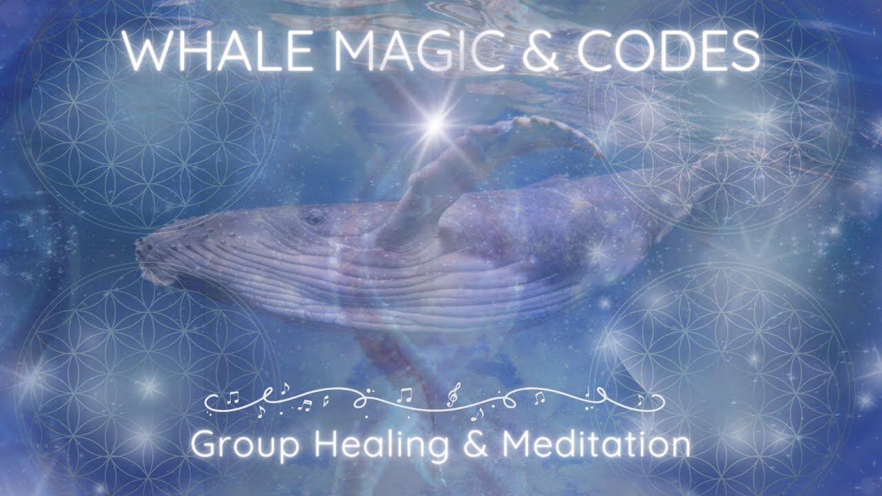 Whale Magic & Codes Online Group Healing & Meditation - Introduction ...