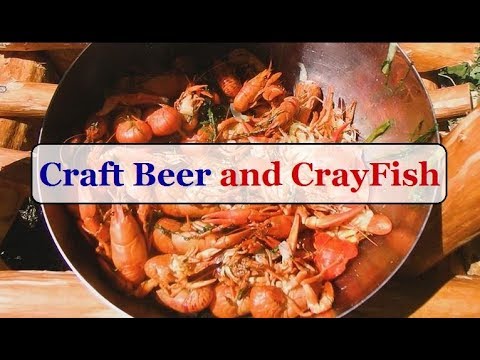 Catching & Cooking Crayfish - Craft Beer - Bushcraft - Gabrielius Ser ...