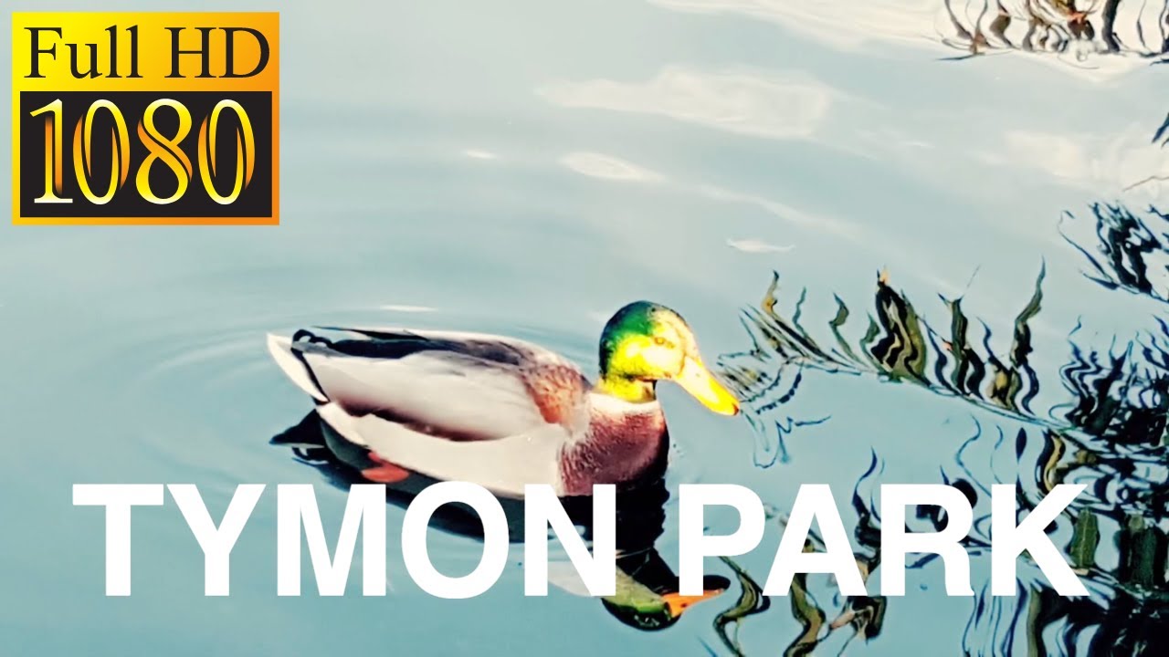 Tymon Park, Dublin, Ireland - YouTube