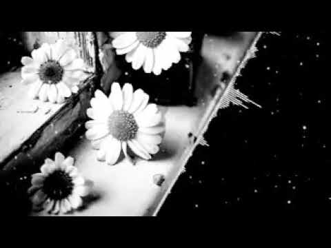 Hirai Zerdüş / İçime Sevda Kaçar