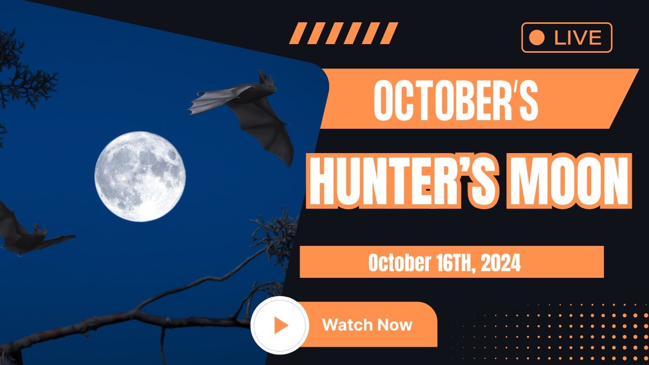 🌙 Hunter’s Moon Rises! Capturing October's Glowing Full Moon - YouTube