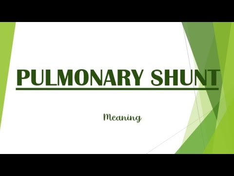 Pulmonary Shunt | Respiratory System | Meaning - YouTube
