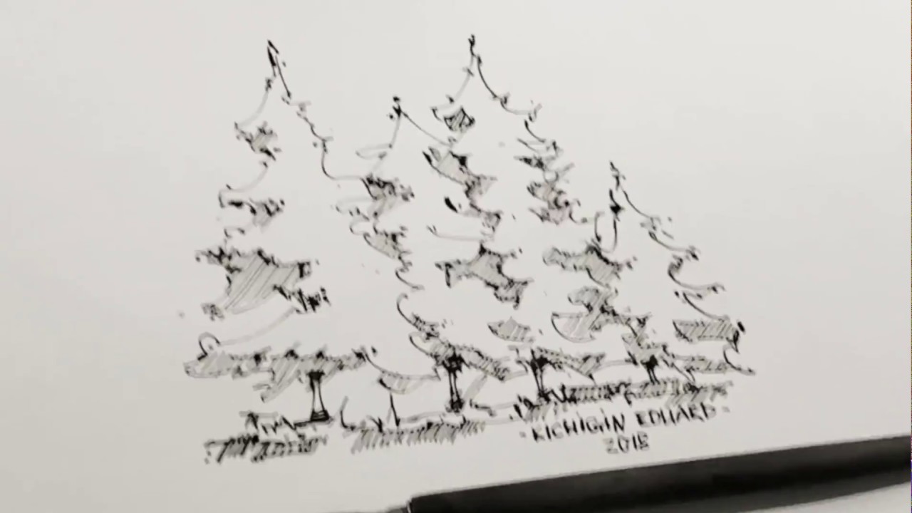 How to draw a tree? Spruce drawing sketching - YouTube