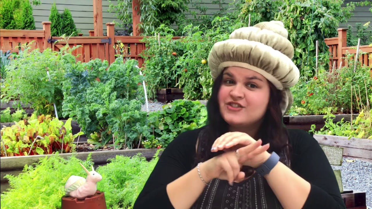 Bob’s My Favourite Snail - with Makaton Sign - YouTube