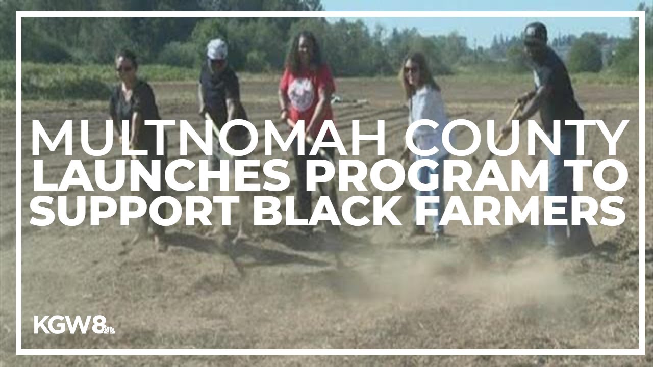 Multnomah County launches program to support Black farmers - YouTube
