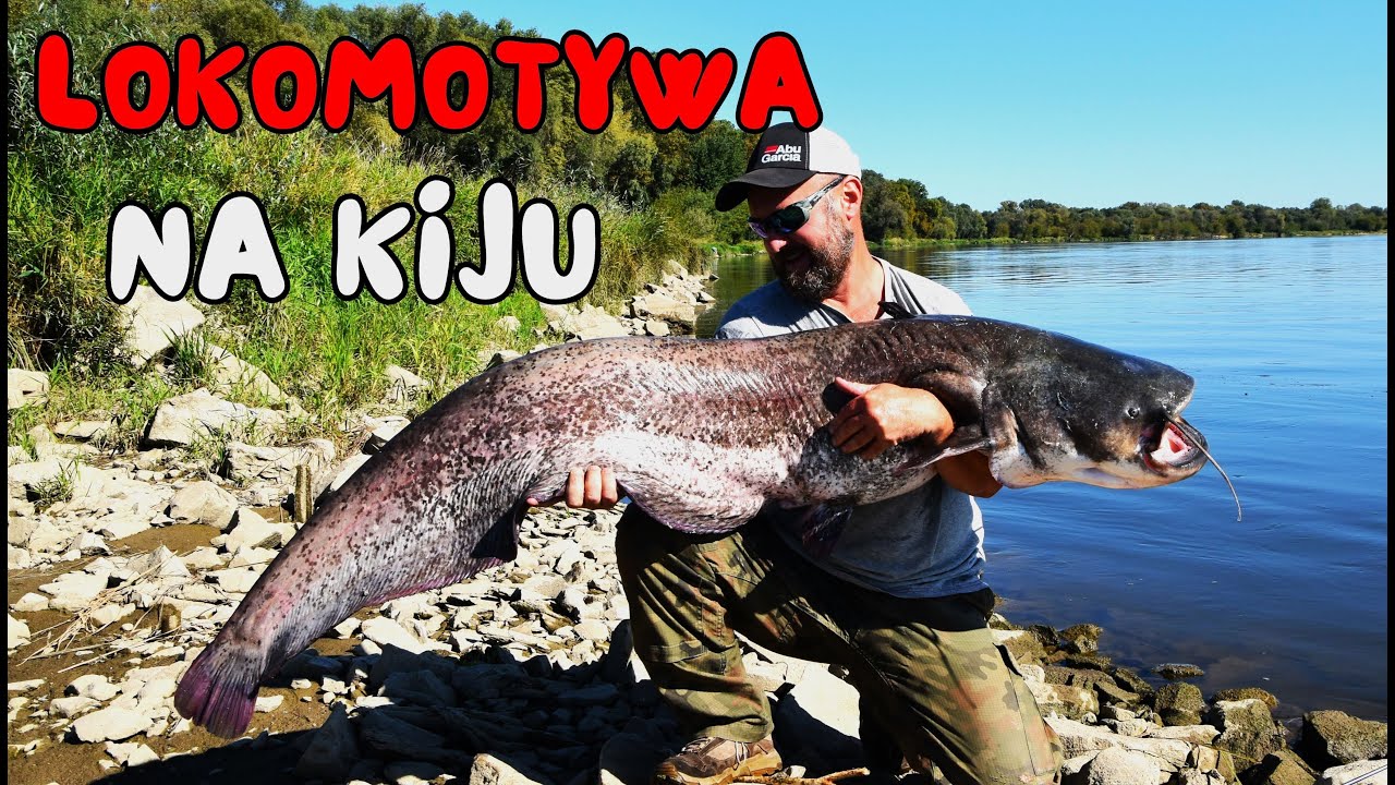 SUM z Wisły i wielka PASKUDA na kiju, czyli najbrzydsza ryba na świecie ...