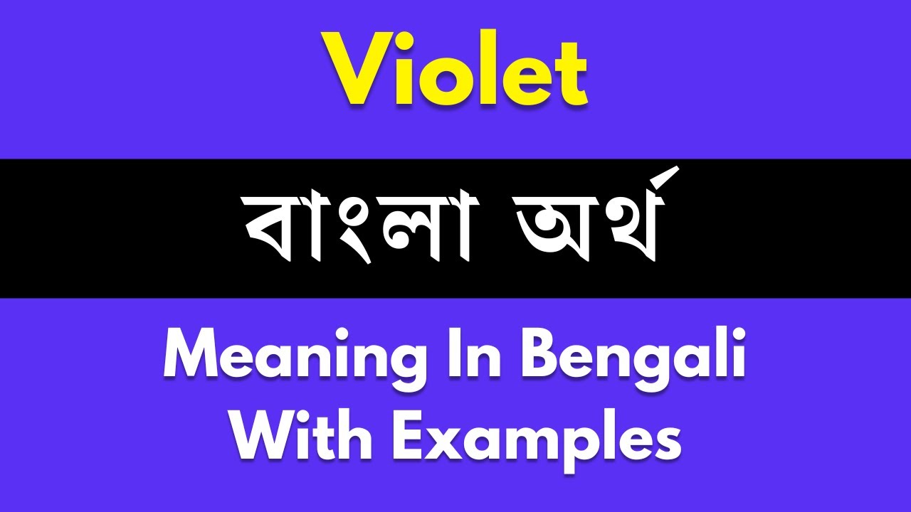 Violet Meaning In Bengali Violet violet-meaning-in-bengali-violet