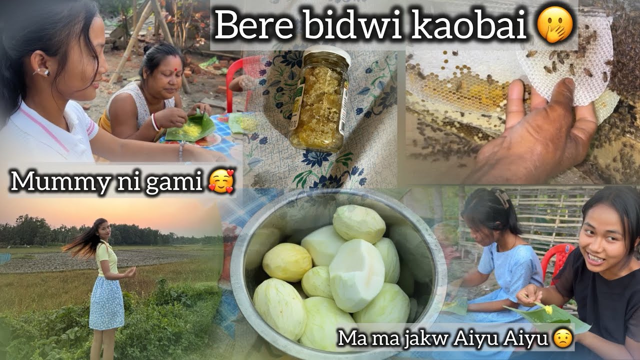 Bere bidwi (Honey) Kaobai jwng 🫢 Amainao baidisina mwnjahwitarw 🥰 - YouTube
