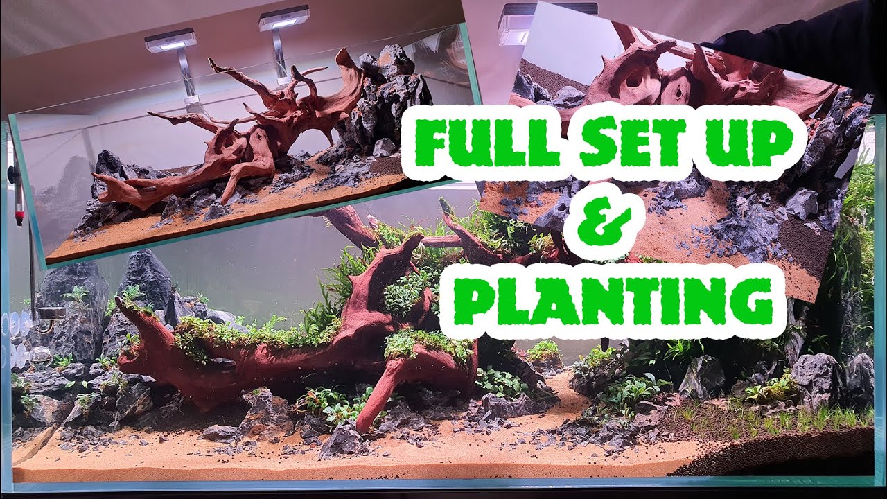 #37 Full setup Layout A-Z & planting/Setup & Vào cây bể Nature tuyệt ...