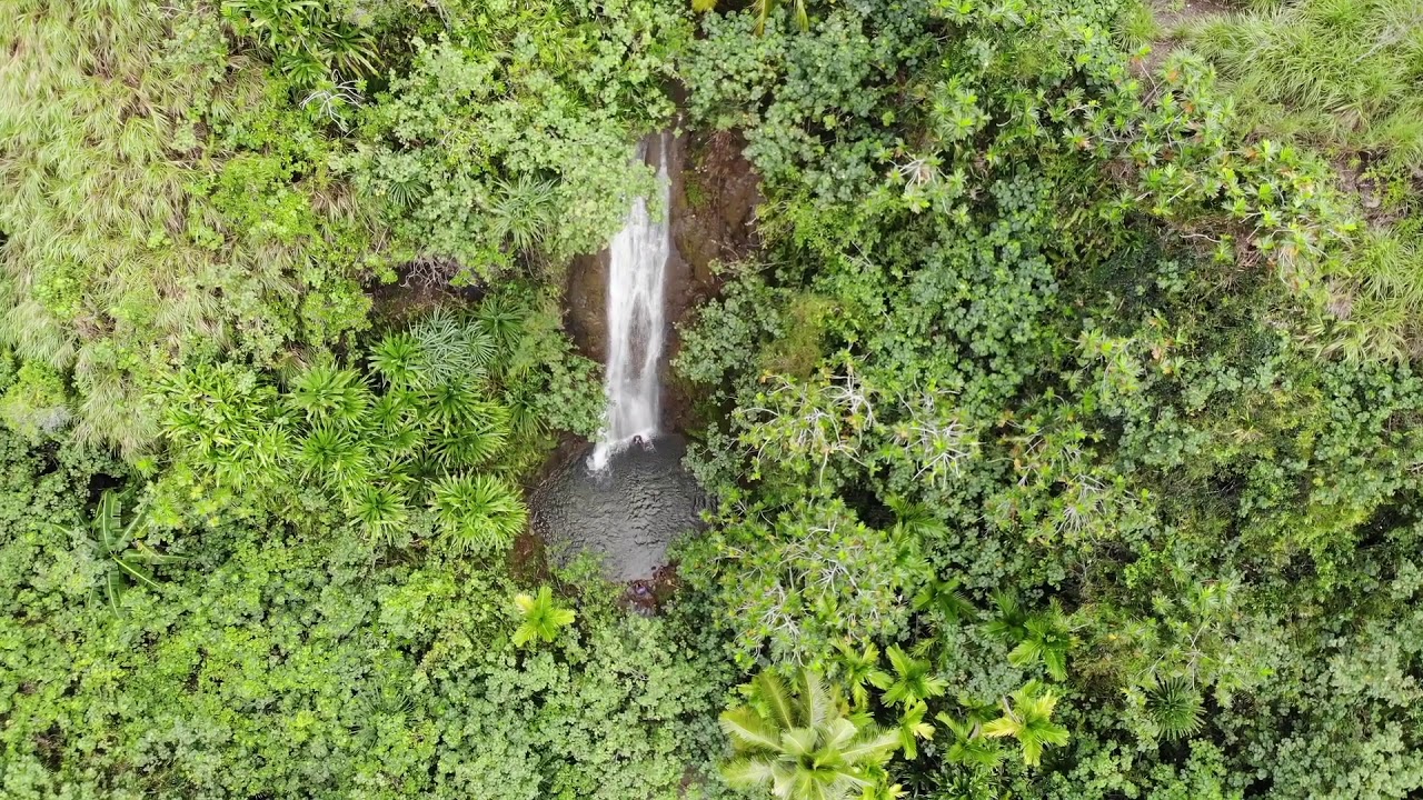 Cetti Falls - YouTube