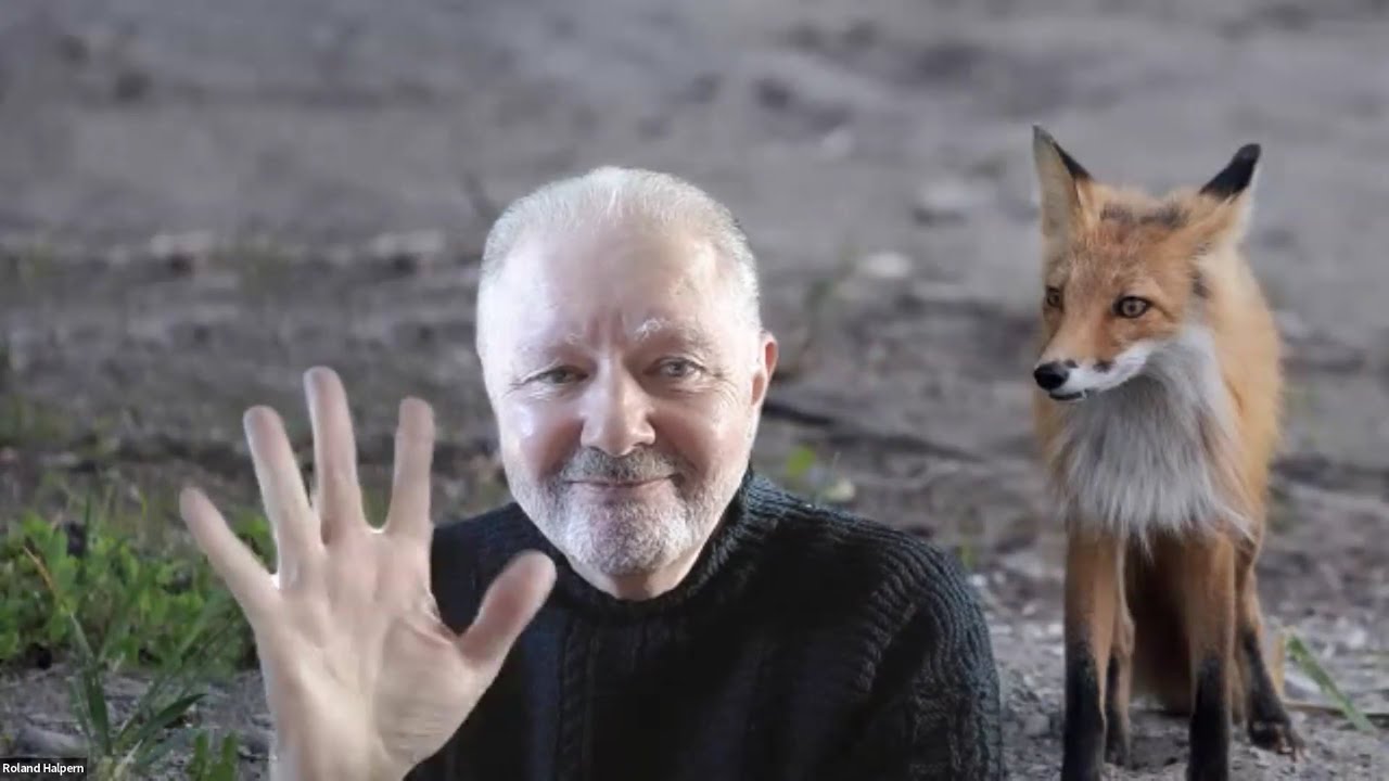 Getting Political for Animals with Roland Halpern - YouTube