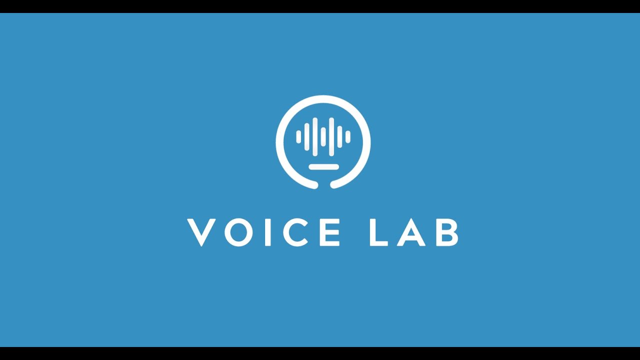 Introducing Voice Lab by GSI - Voice Search Insights at Scale - YouTube