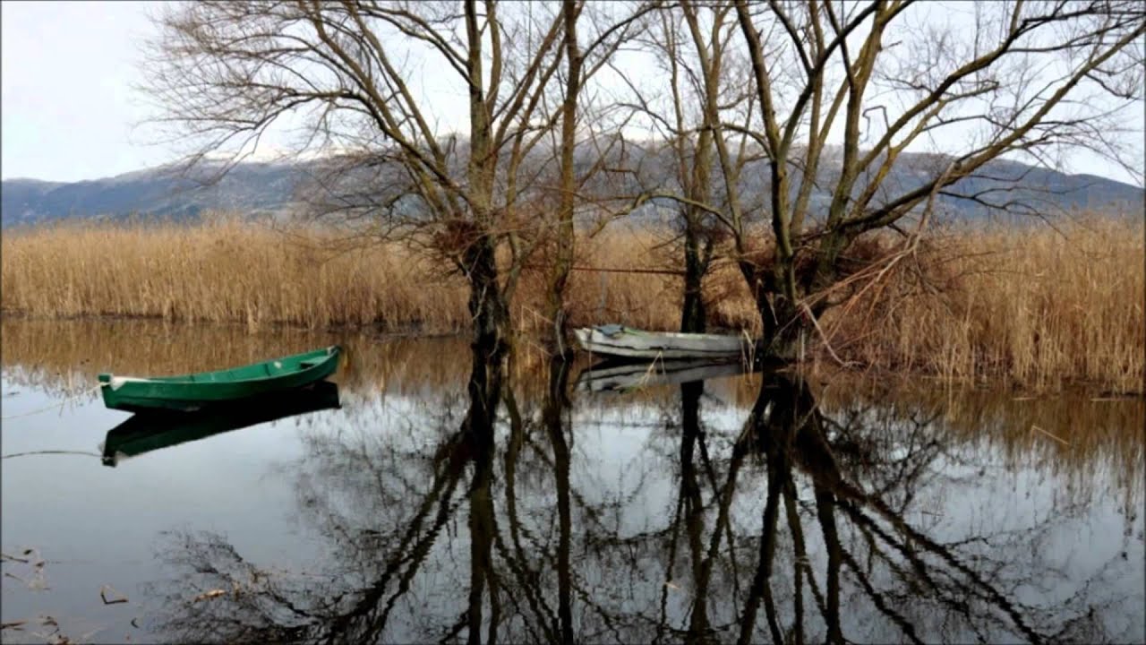Οι διοξίνες στη διατροφική αλυσίδα - YouTube