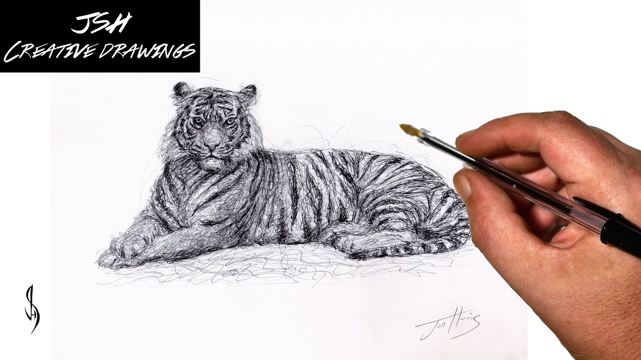 How to Scribble Sketch a Serene Tiger - YouTube