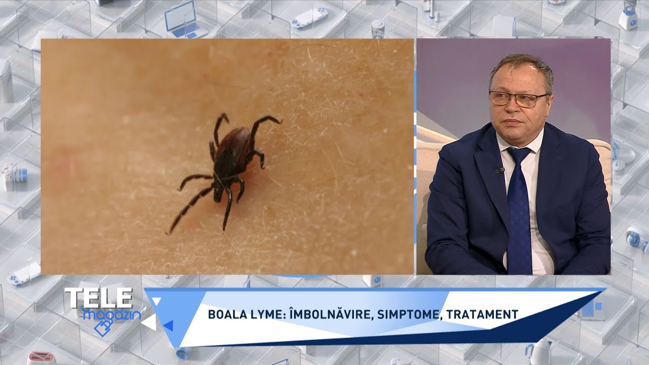 Boala Lyme sau boala transmisă de căpuşe. Ce simptome apar şi care sunt ...
