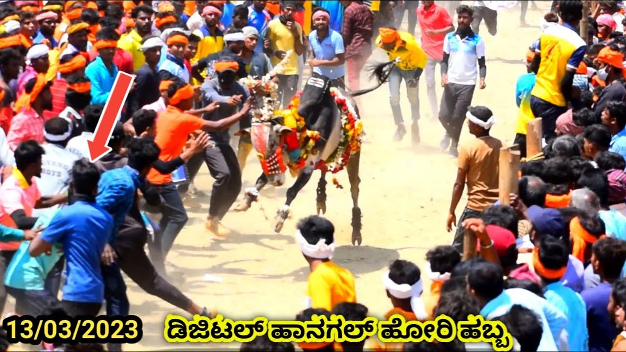 Hangal Hori Habba Digital Hori Habba 😲😱 - YouTube