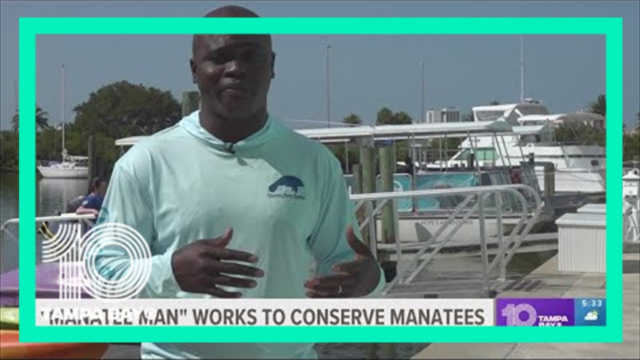 'Manatee Man' dedicates his life to saving manatees starting from a ...