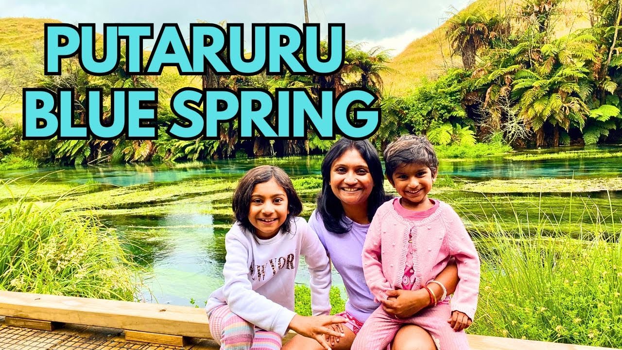 Putaruru Blue Spring, Te Waihou Walkway | New Zealand's Stunning ...
