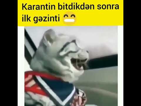 Karantinadan sonra ilk gezinti