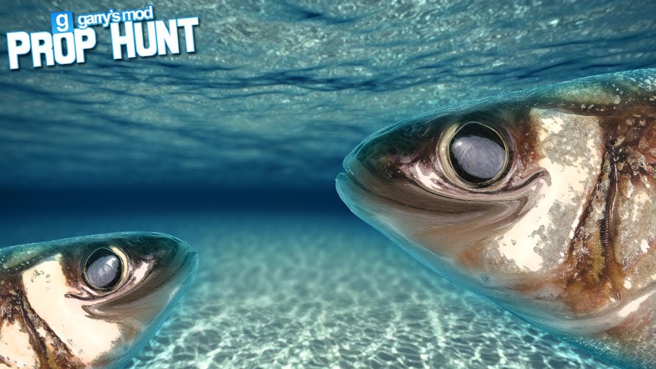 Derp Fish | Prop Hunt #23 - YouTube