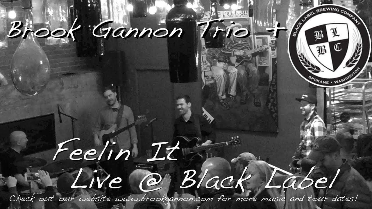 Brook Gannon Trio BG3+ Feelin It Live at Black Label Brewery - YouTube