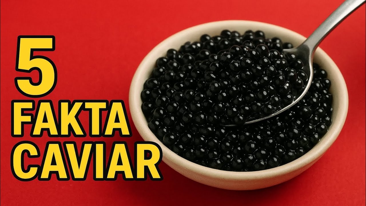 5 Fakta Caviar | Telur Ikan Termahal Di Dunia! - YouTube