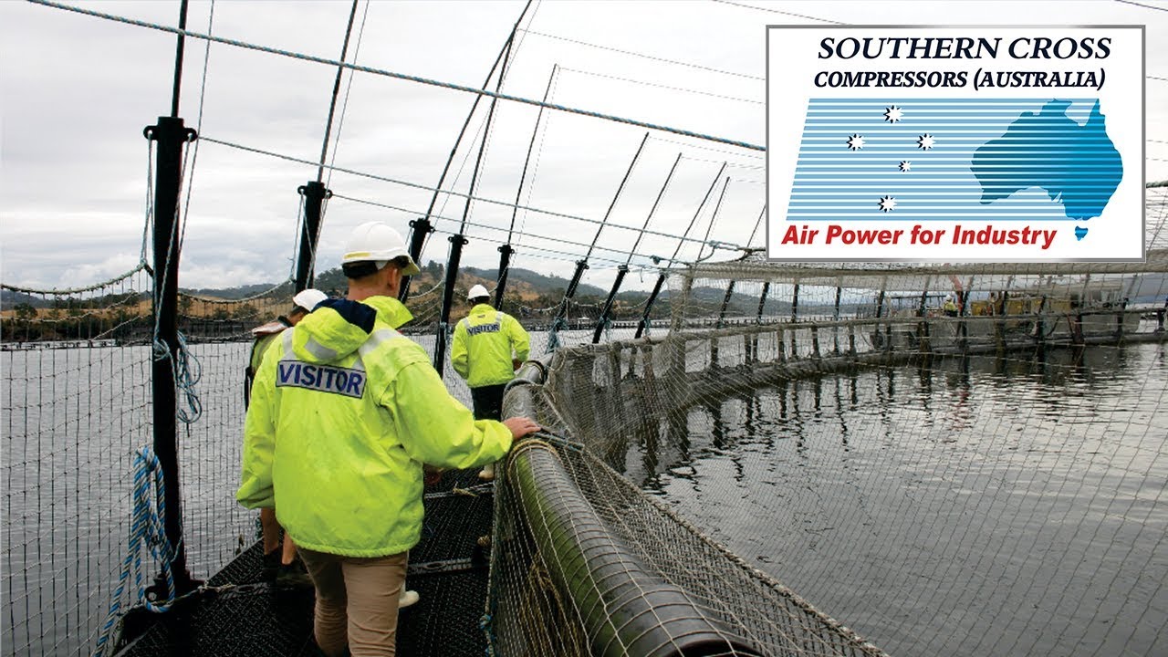 Industry Update: Southern Cross Compressors - Custom Air Compressors ...