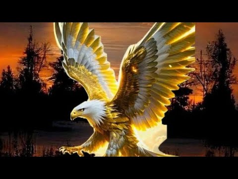 "Versoeking" 2de November2025 - YouTube