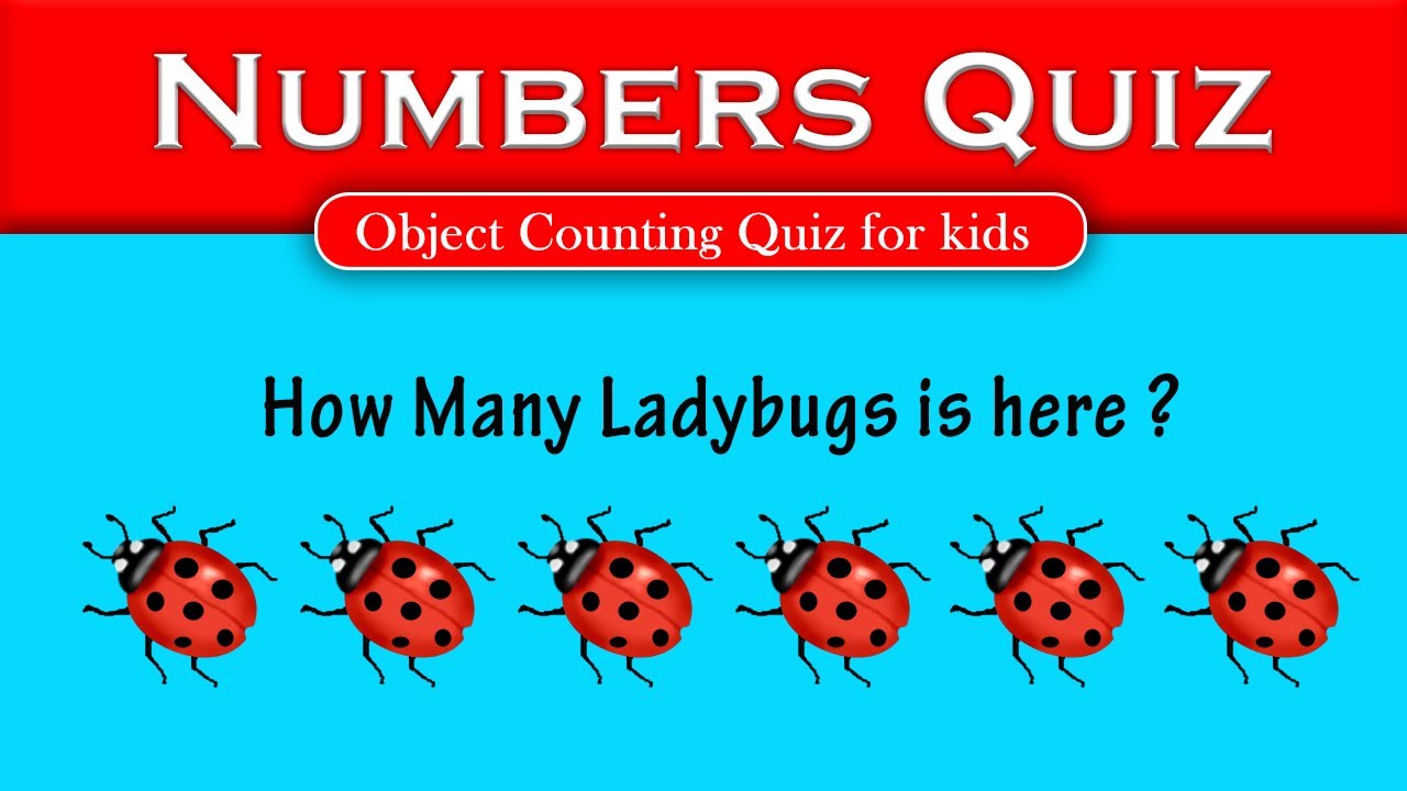 How Many? Counting Quiz - Game for Kids Numbers Kindergarten ...