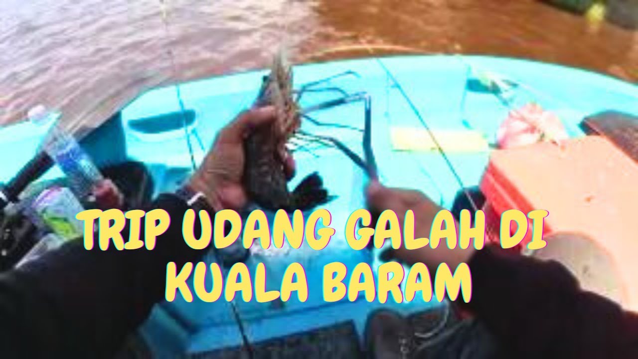 𝚃𝚛𝚒𝚙 𝚖𝚎𝚖𝚊𝚗𝚌𝚒𝚗𝚐 𝚞𝚍𝚊𝚗𝚐 𝚍𝚒 𝙺𝚞𝚊𝚕𝚊 𝙱𝚊𝚛𝚊𝚖.... - YouTube