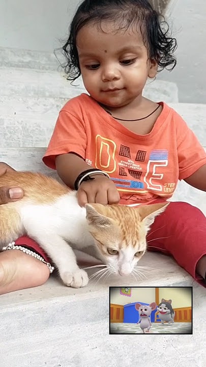 Billi Karti meow meow - YouTube