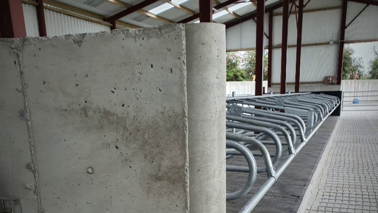 52 cubicle shed used for cow to wait in also - YouTube