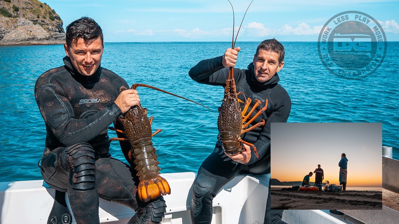 Huge Crayfish & Remote Beach Camping in New Zealand - YouTube