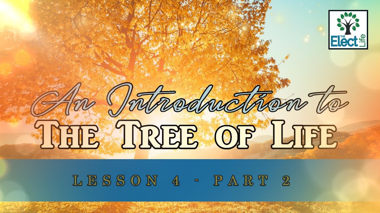 The Tree of Life: Lesson 4 - Part 2 (Keter) - YouTube