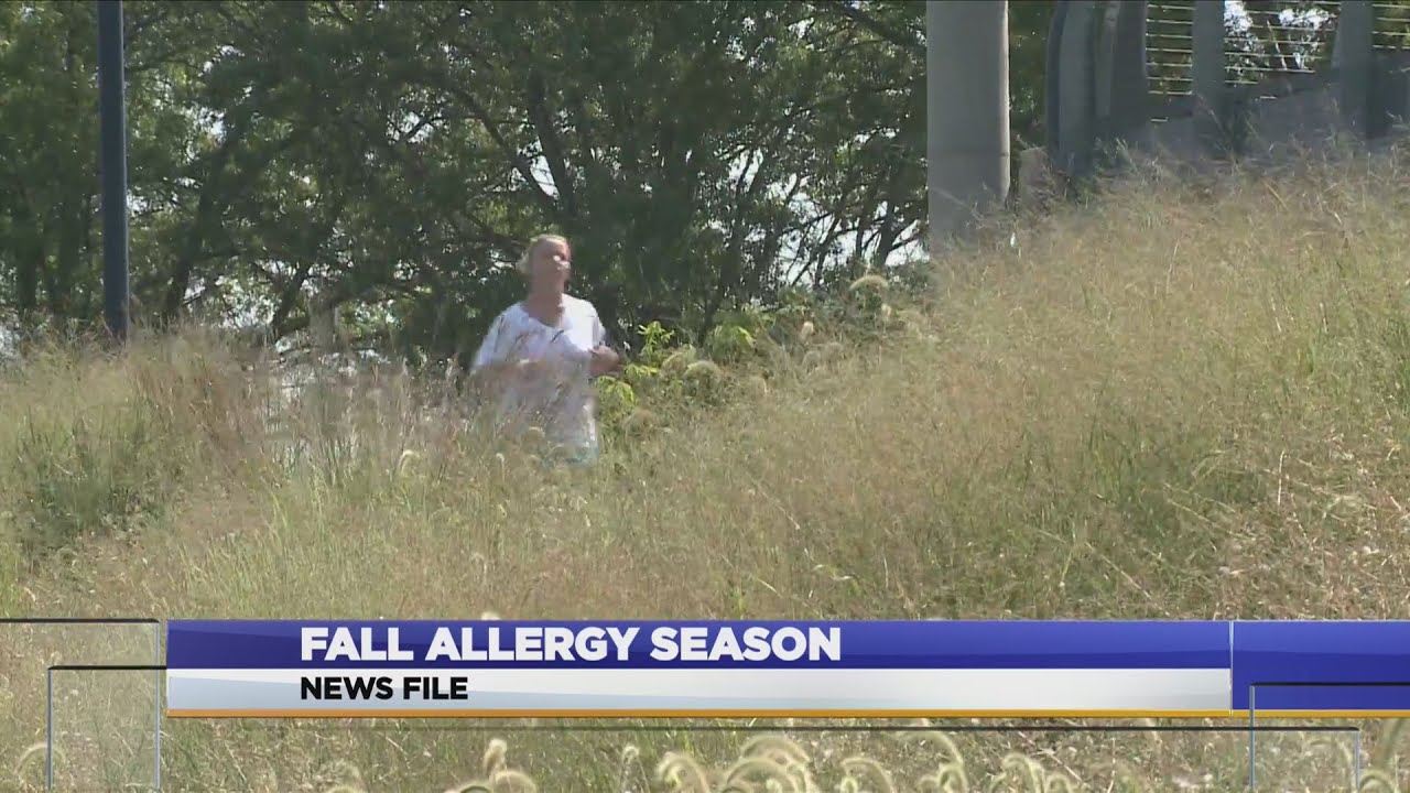 Fall Allergy Season - YouTube