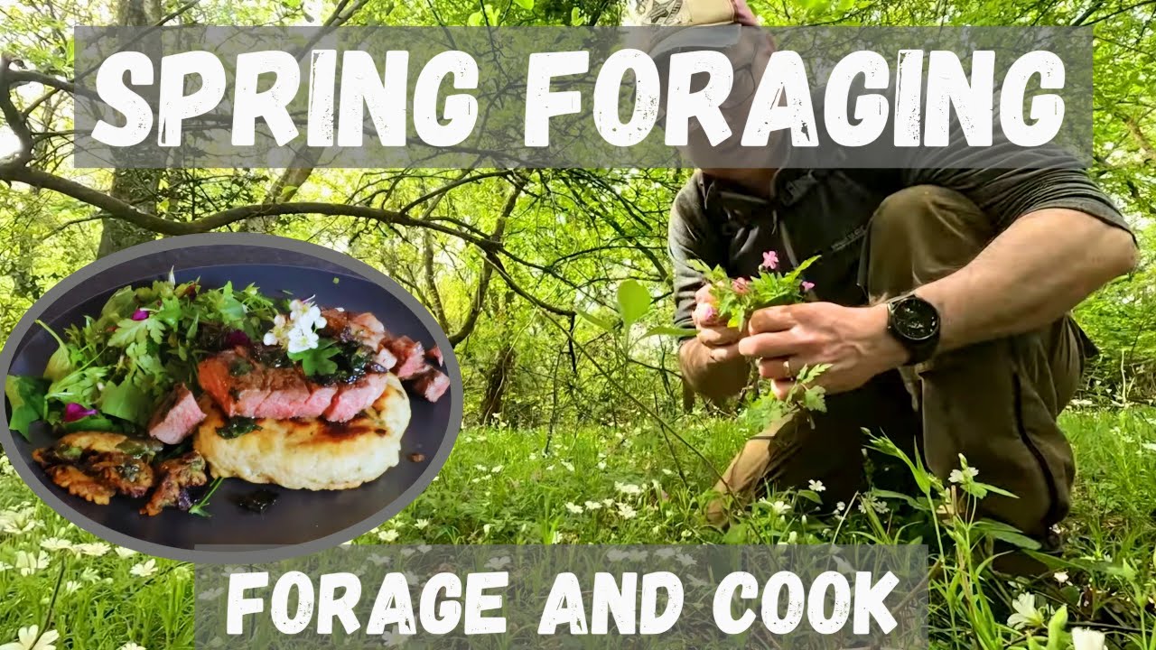 Spring Foraging | Foraging and Cooking Lunch Using Spring Wild Edibles ...