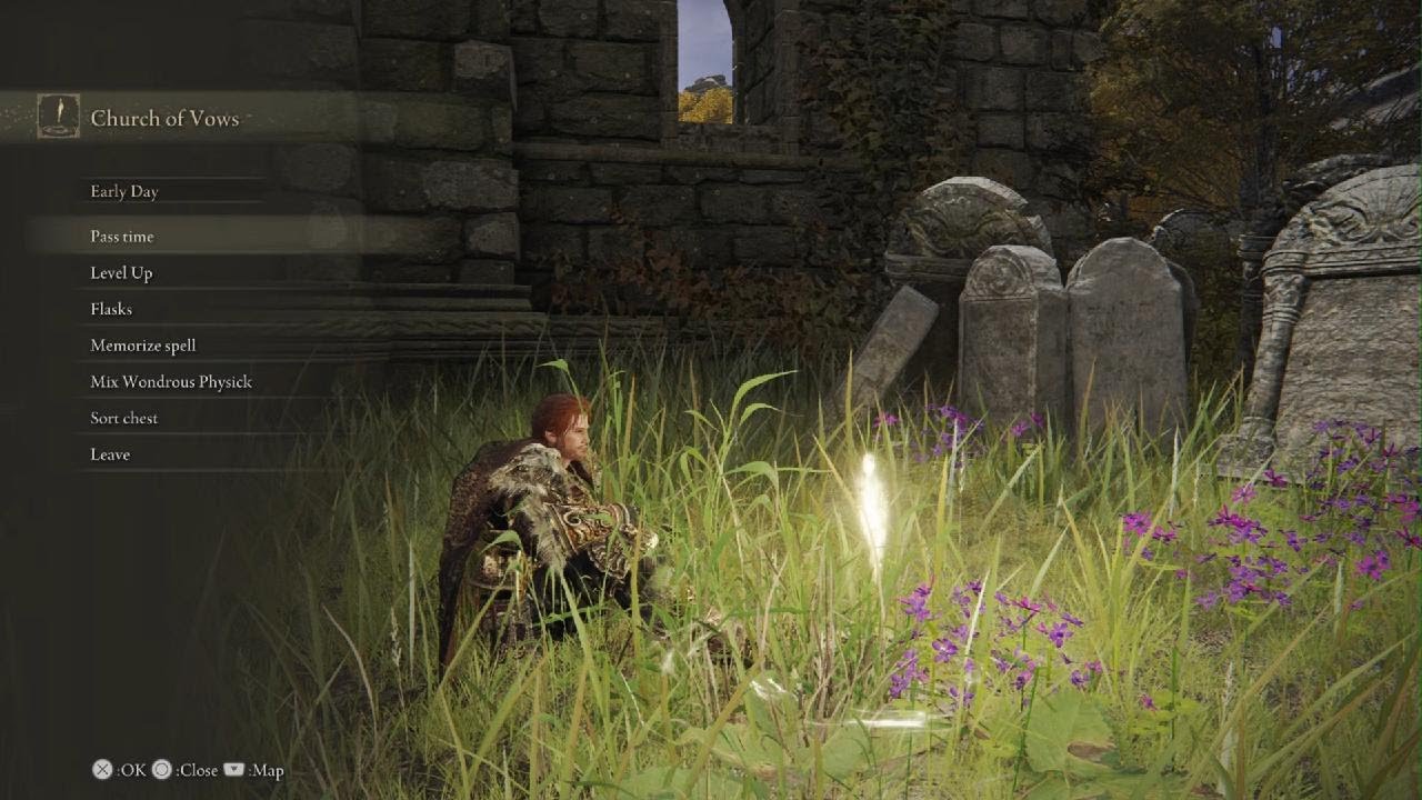 Turtle with the Pope Hat - YouTube