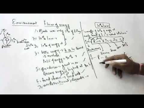 ENVIRONMENT 10 percent law numericals with examples to practice in ...