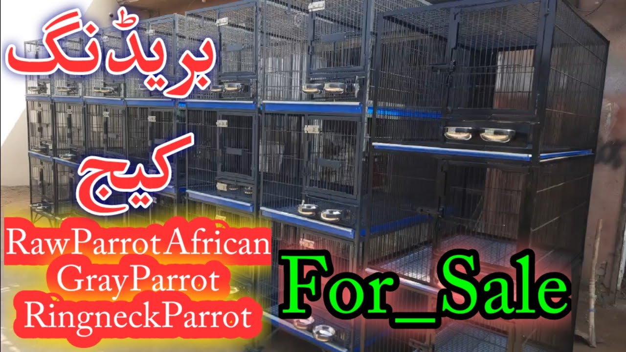 Raw Parrot African Gray Ringneck Breeding Cage Standard Size For_Sale ...