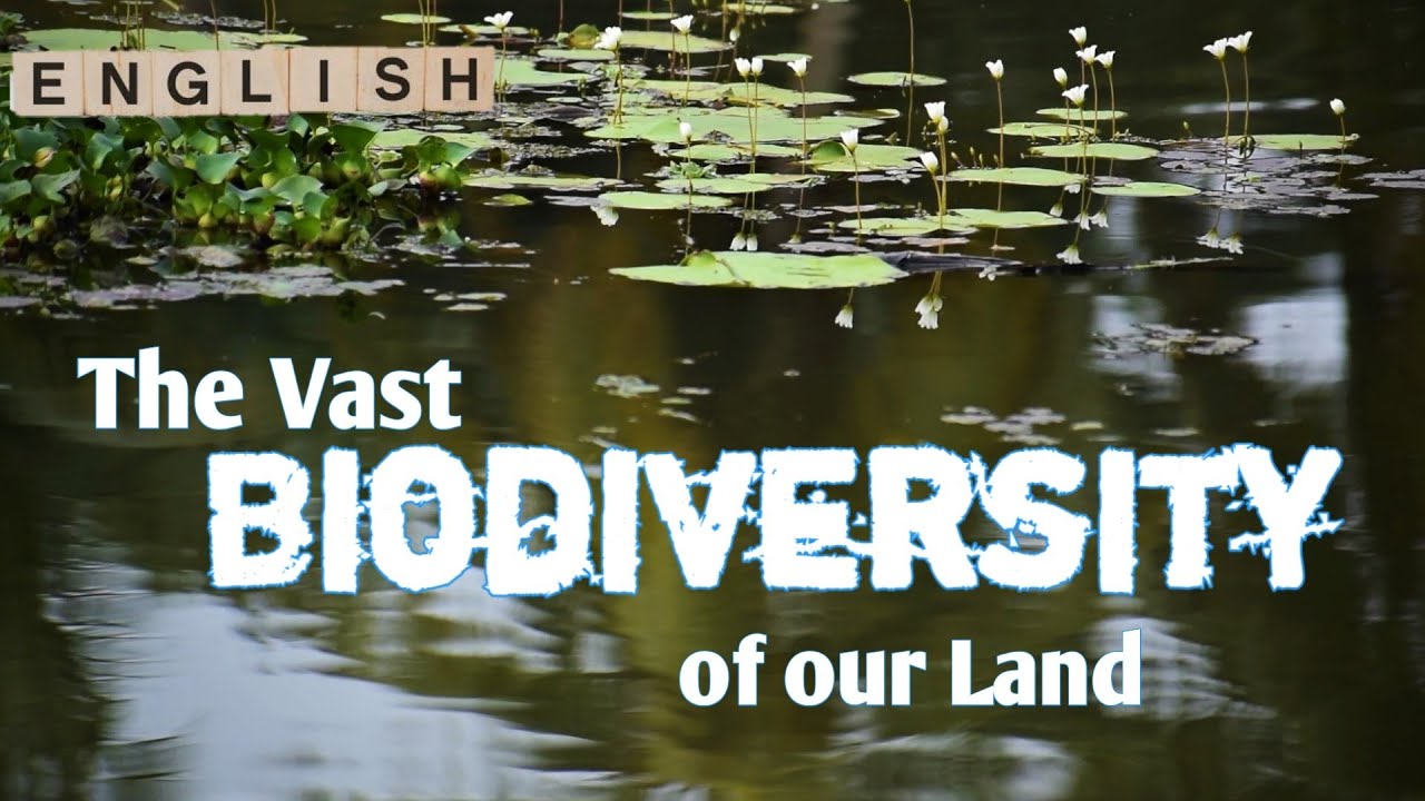 English Video | Birding & Valuable Biodiversity of our land - YouTube