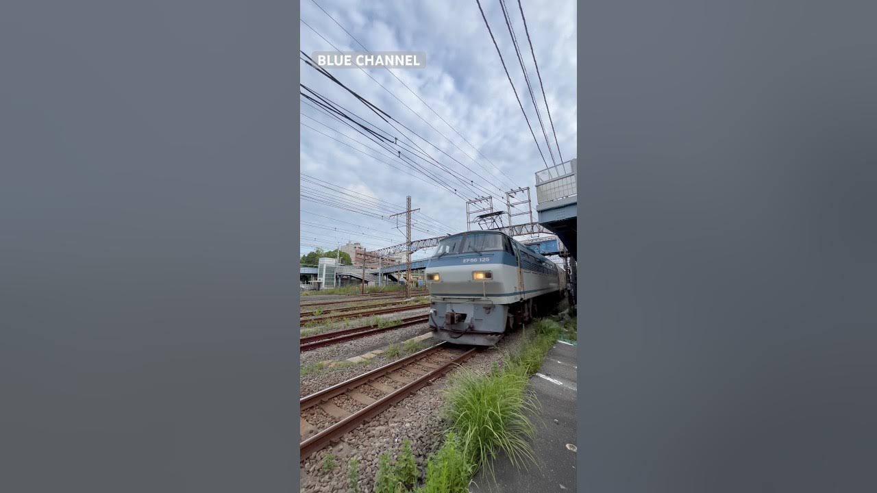 (貨物列車) 2024/08/23 3075レ EF66-125 + コキ19B (札幌タ〜名古屋タ) #Shorts - YouTube
